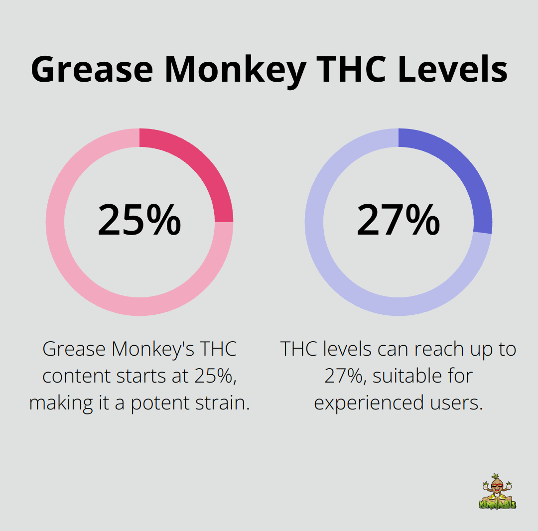 Mastering Grease Monkey Strain: Grow Guide - Buy Cannabis Seeds Online ...